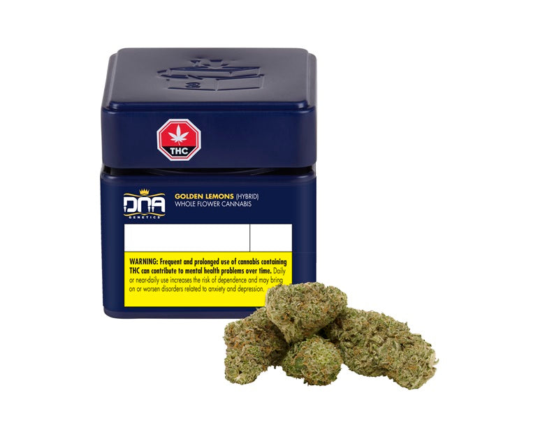 Dna Golden Lemons 35g Dried Flower Borealis Buds