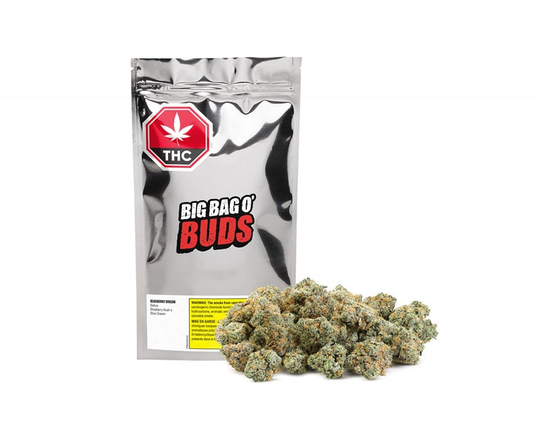 Big Bag O' Buds Blueberry Dream 28g Dried Flower – Borealis Buds